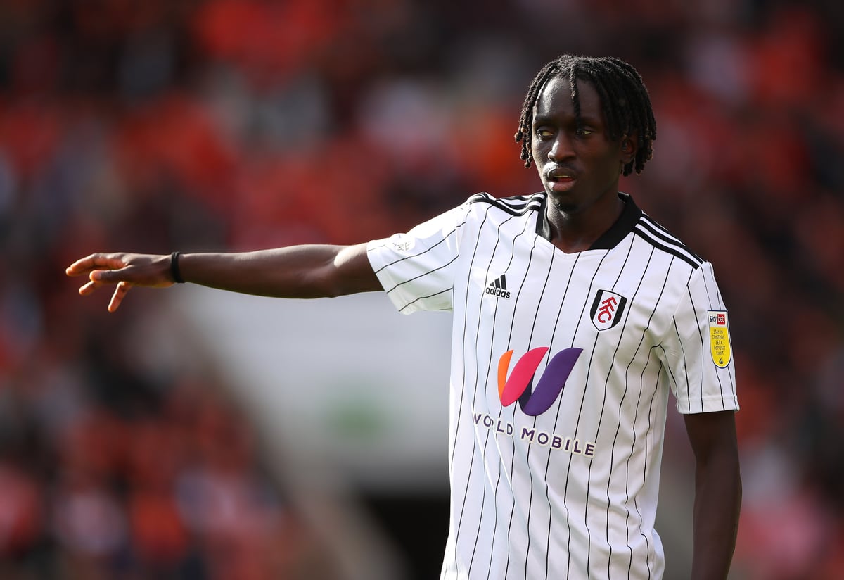 Swansea City open talks to sign Fulham forward Quina - Sources