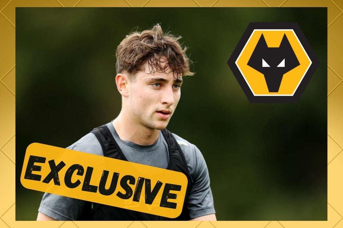 Wolves starlet Joe Hodge in line for full debut after reveal - Sources