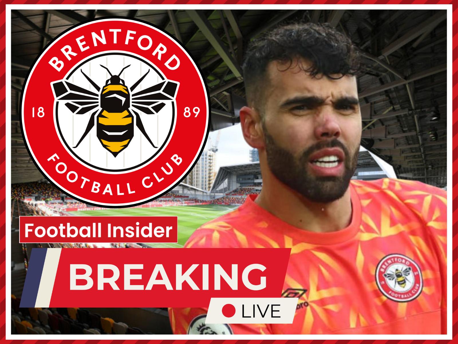 Brentford stuck over David Raya after Tottenham twist - Sources