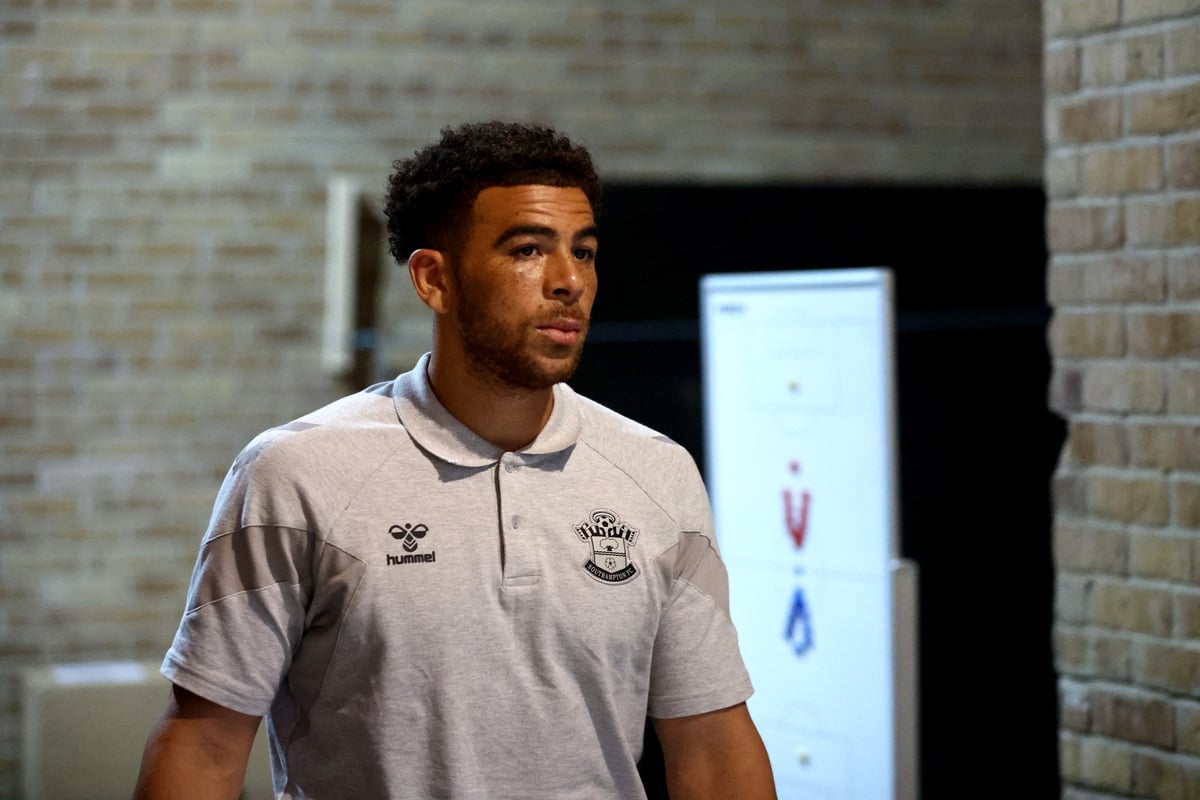 Wolves want Southampton star Adams as three-man signing plan revealed
