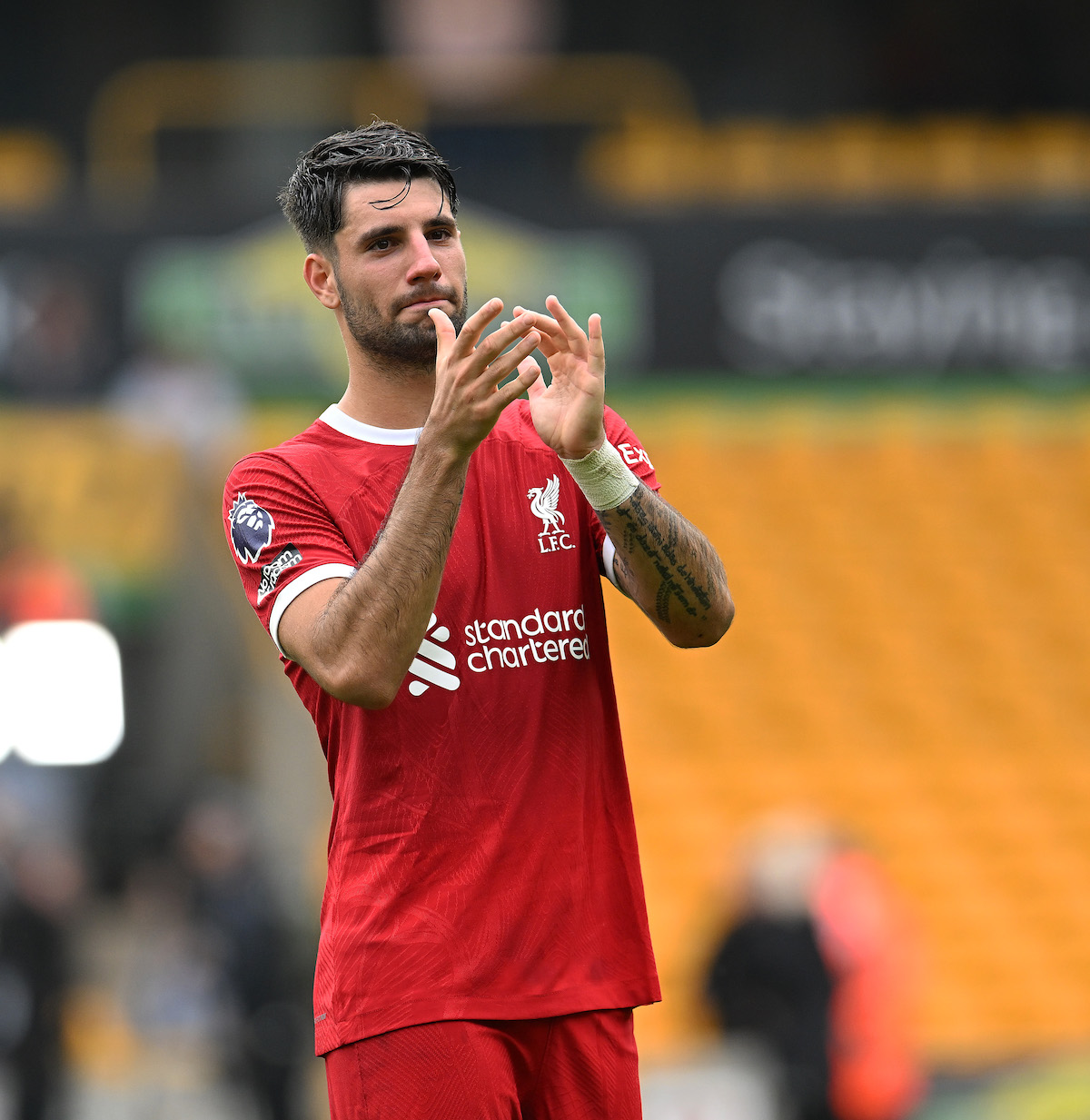 Liverpool have just completed 'signing of the year' - expert