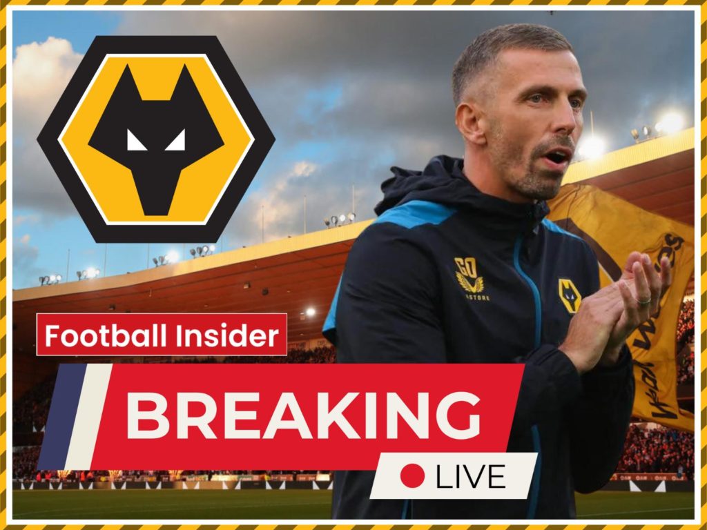 Wolves want Southampton star Adams as three-man signing plan revealed