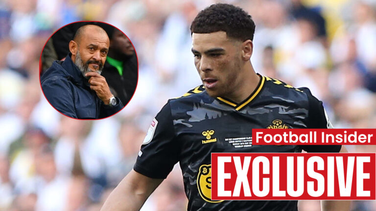 Nottingham Forest could hijack Wolves' Che Adams deal - sources