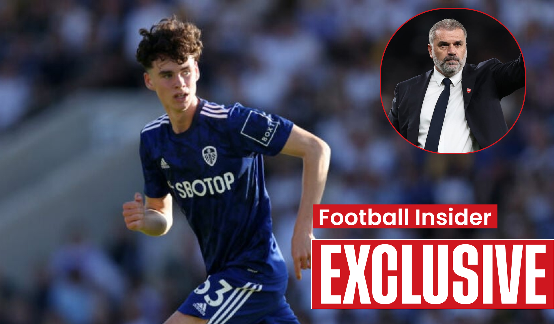 Archie Gray to be catapulted straight into Tottenham XI - expert