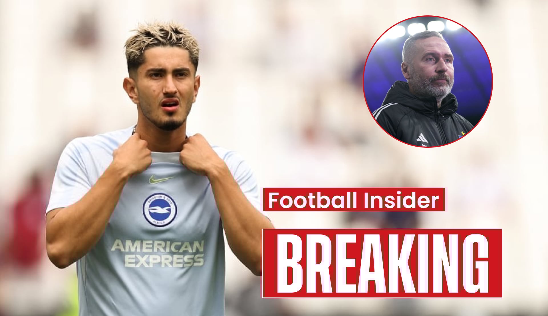 Exclusive: Steven Alzate agrees Hull City after Brighton exit