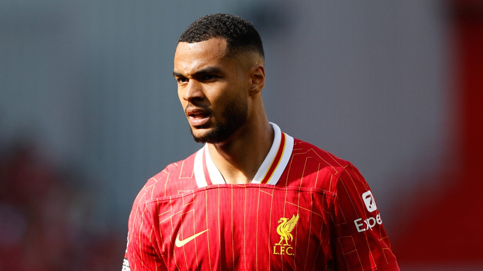 Liverpool stars respond as Cody Gakpo wowed by teammate who's touched ...