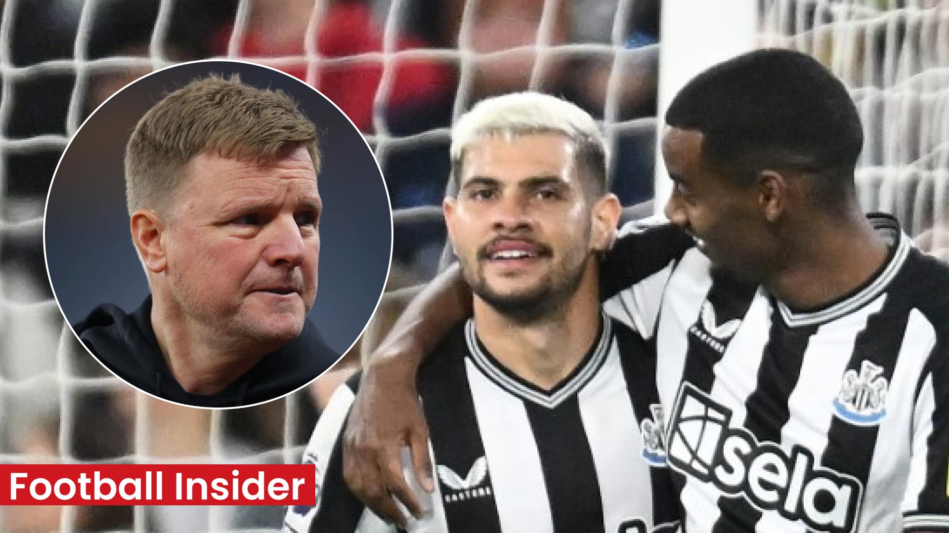 Newcastle fans are divided as Toon journalist savages four big names in ...