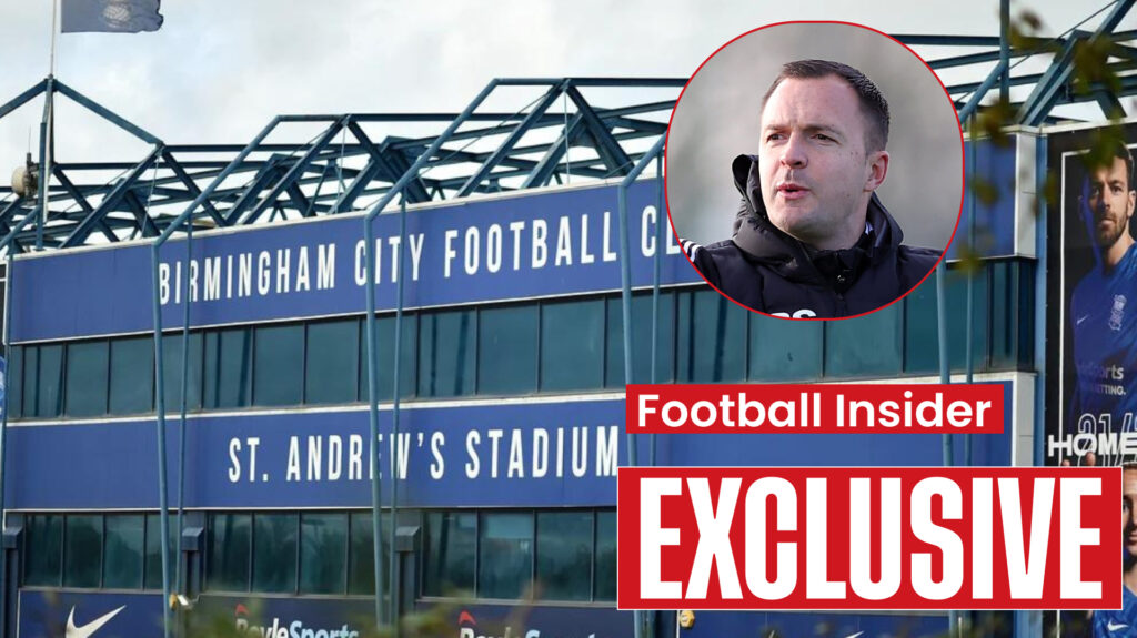 Birmingham City's Liam Daish faces sack threat - sources