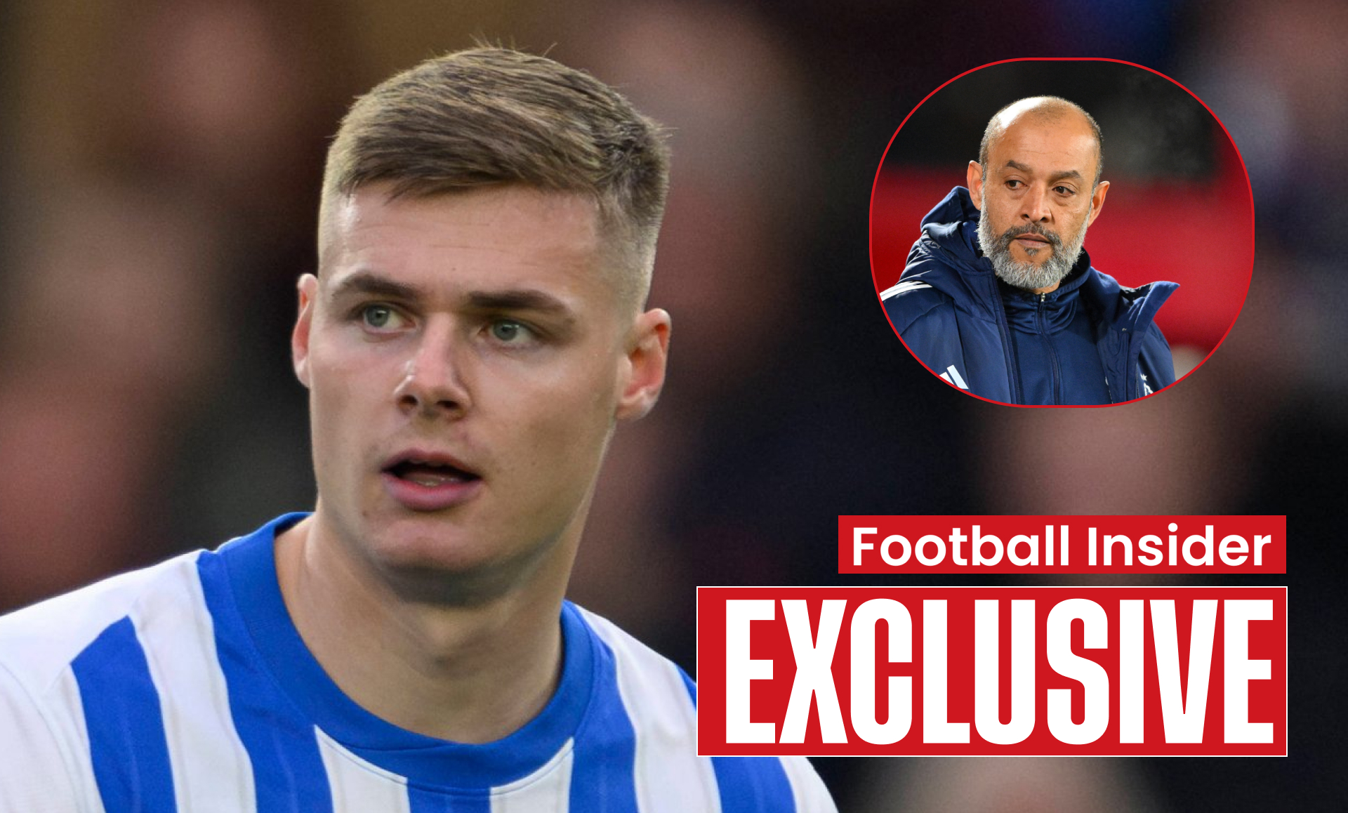 Evan Ferguson to Nottingham Forest: O'Rourke shares update today