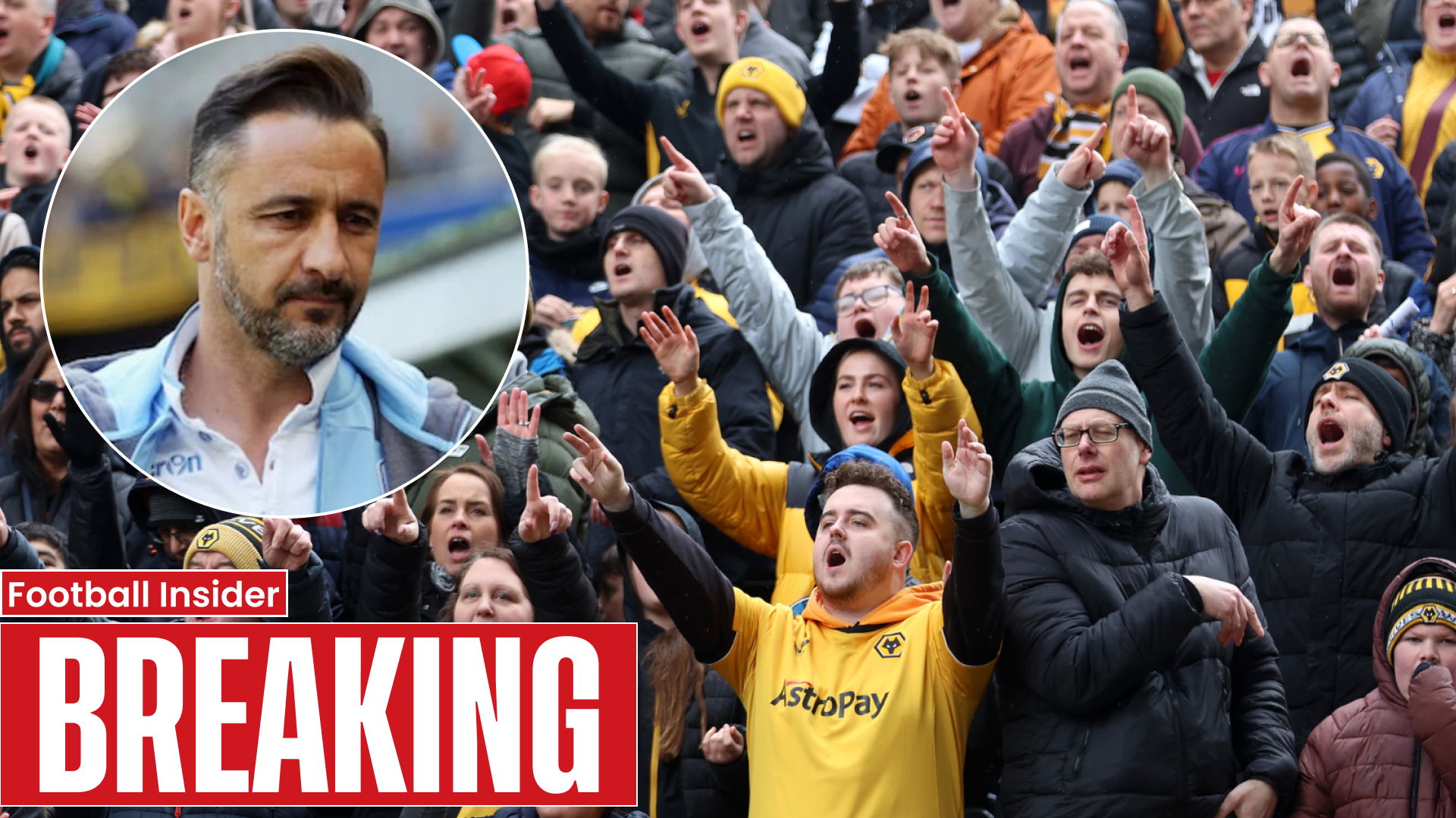 Wolves ready two January signings as priority target revealed - O'Rourke