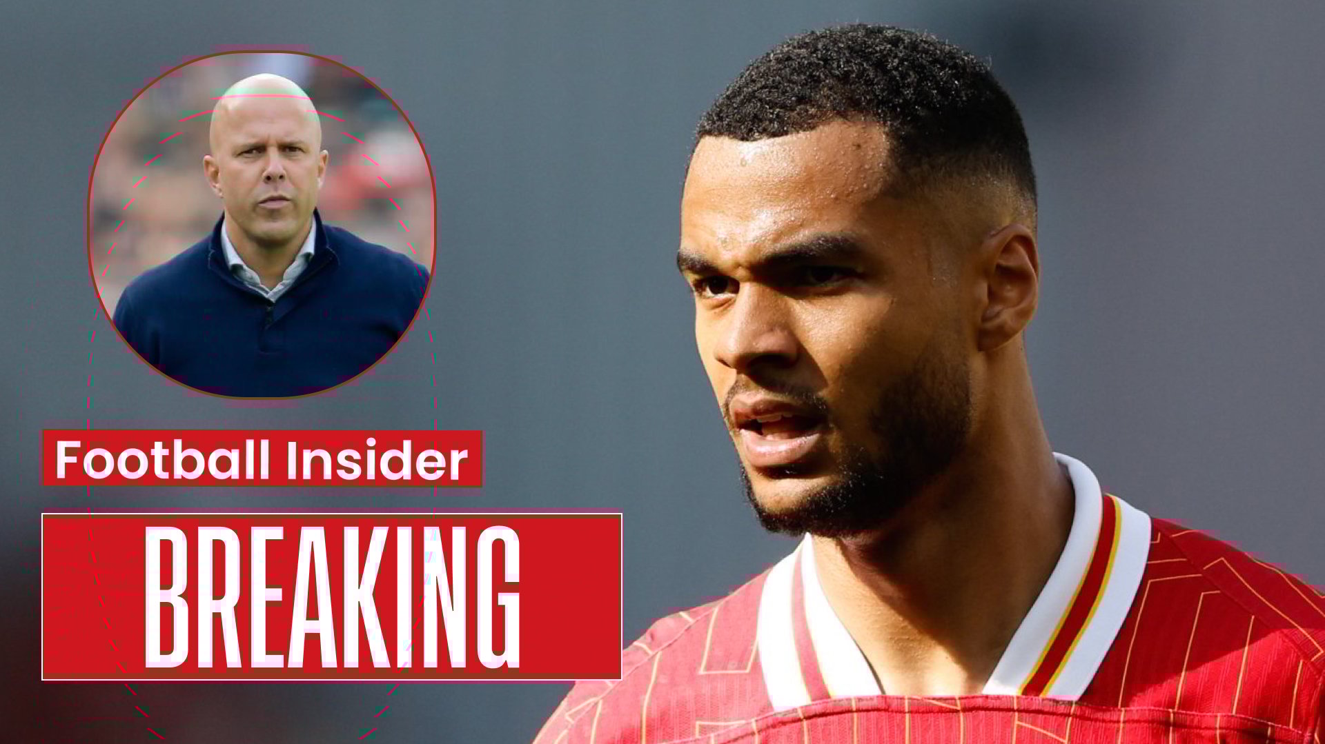 Cody Gakpo sends 'great' message to Liverpool fans after Tottenham ...