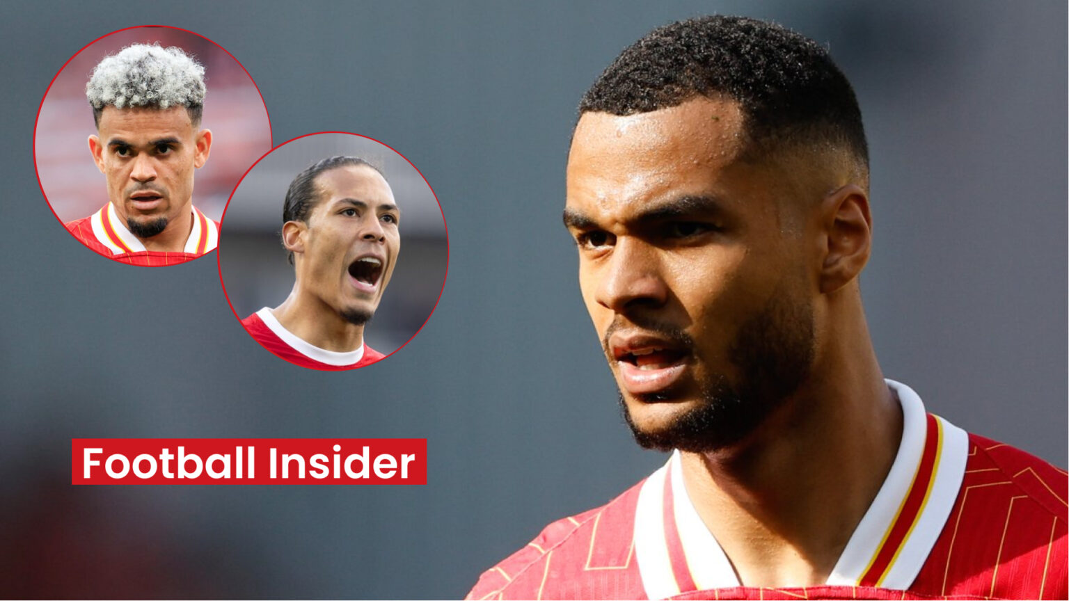 Liverpool stars Virgil van Dijk and Luis Diaz respond to Cody Gakpo 'moving' post