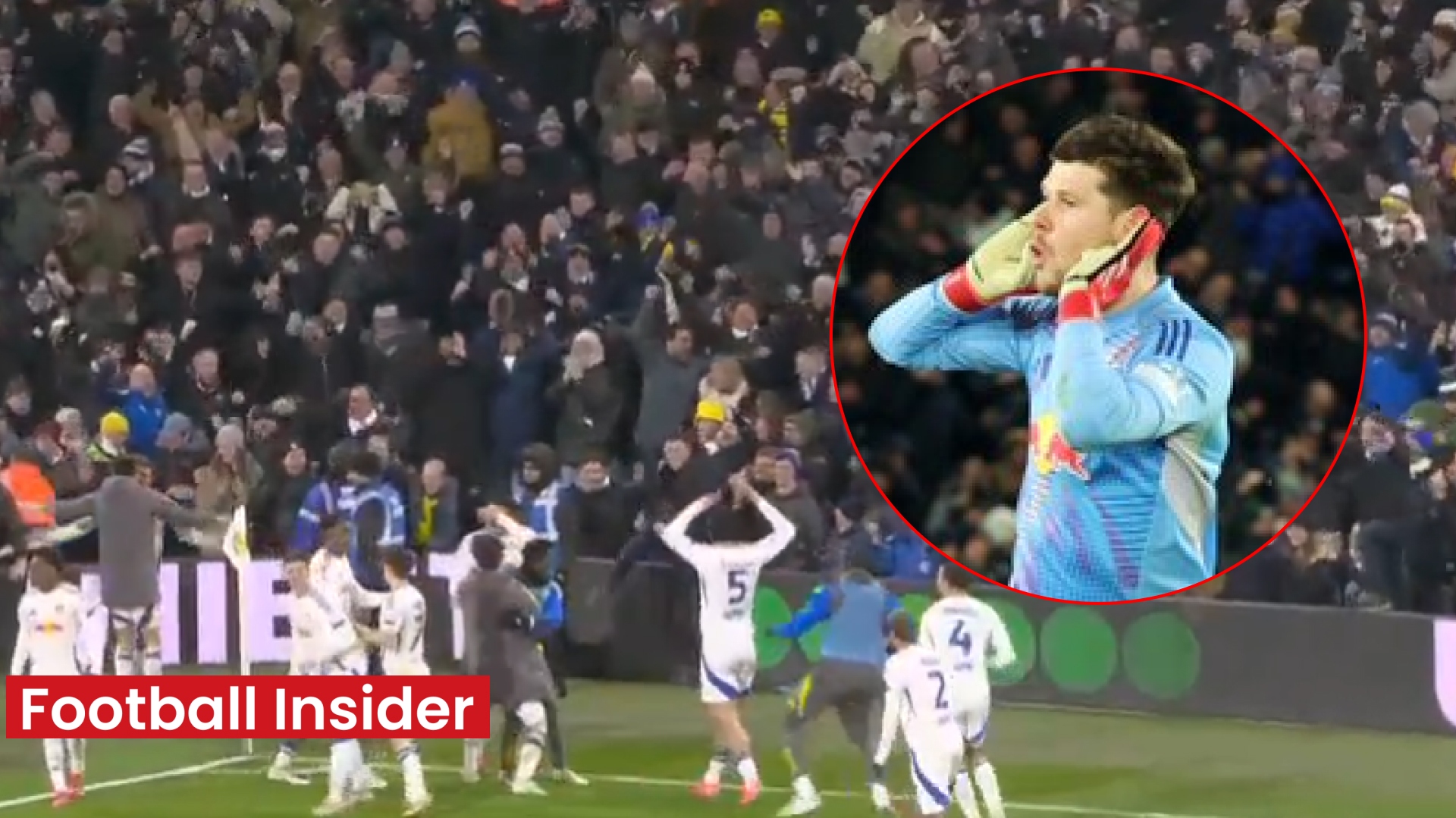 Leeds fans stunned by what Illan Meslier did straight after Sunderland win