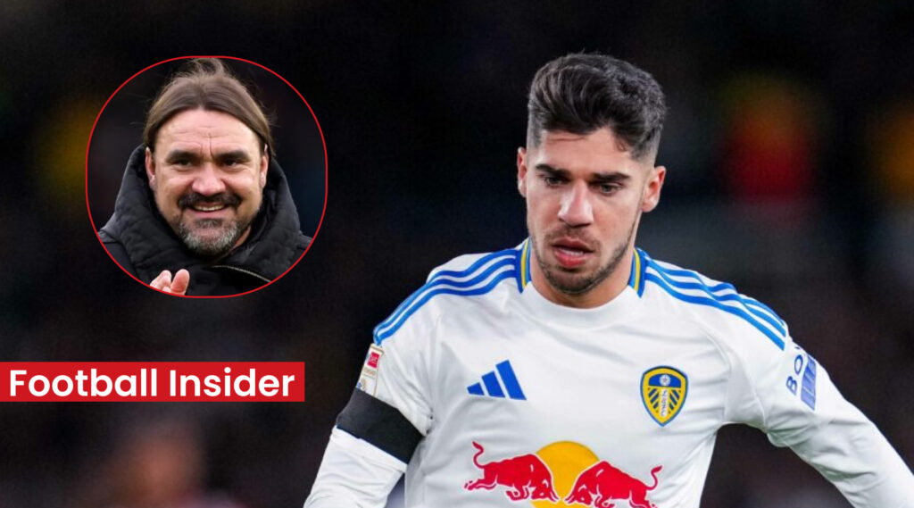 'Leeds to sign Manor Solomon from Tottenham ASAP' - Fans delighted ...