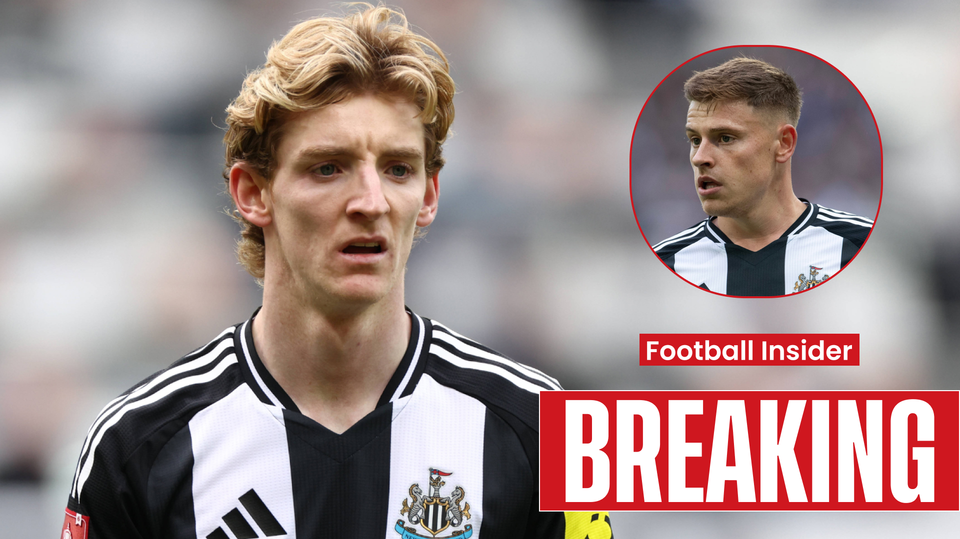 Anthony Gordon unable to demand Newcastle place back off Harvey Barnes ...