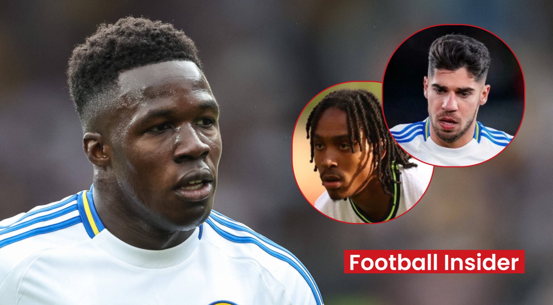 Djed Spence and Manor Solomon react to Wilfried Gnonto's Leeds message