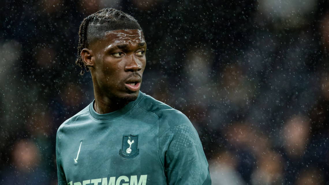 Tottenham fans all say the same thing about Sky's Joao Palhinha update