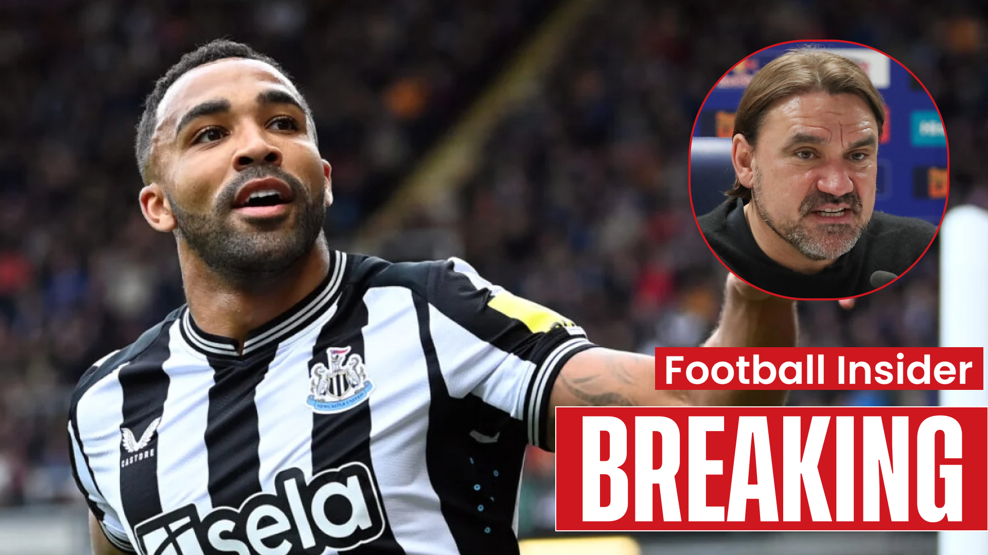 'Leeds line up Callum Wilson swoop after Newcastle exit'