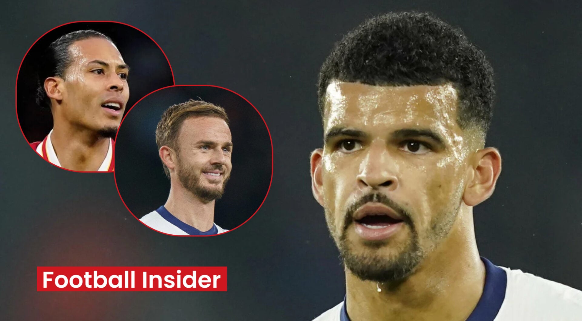 Van Dijk and Van de Ven react to Dominic Solanke's Tottenham message