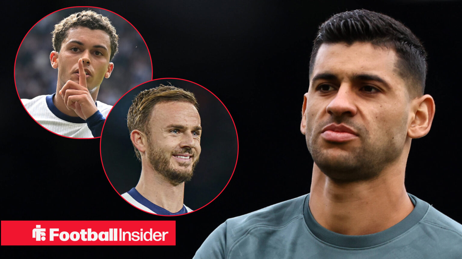 James Maddison and Brennan Johnson respond excitedly after Tottenham ...