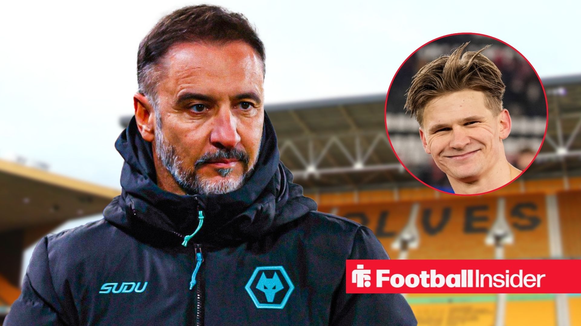 David Moller Wolfe could be the answer to Wolves' prayers, his stats ...