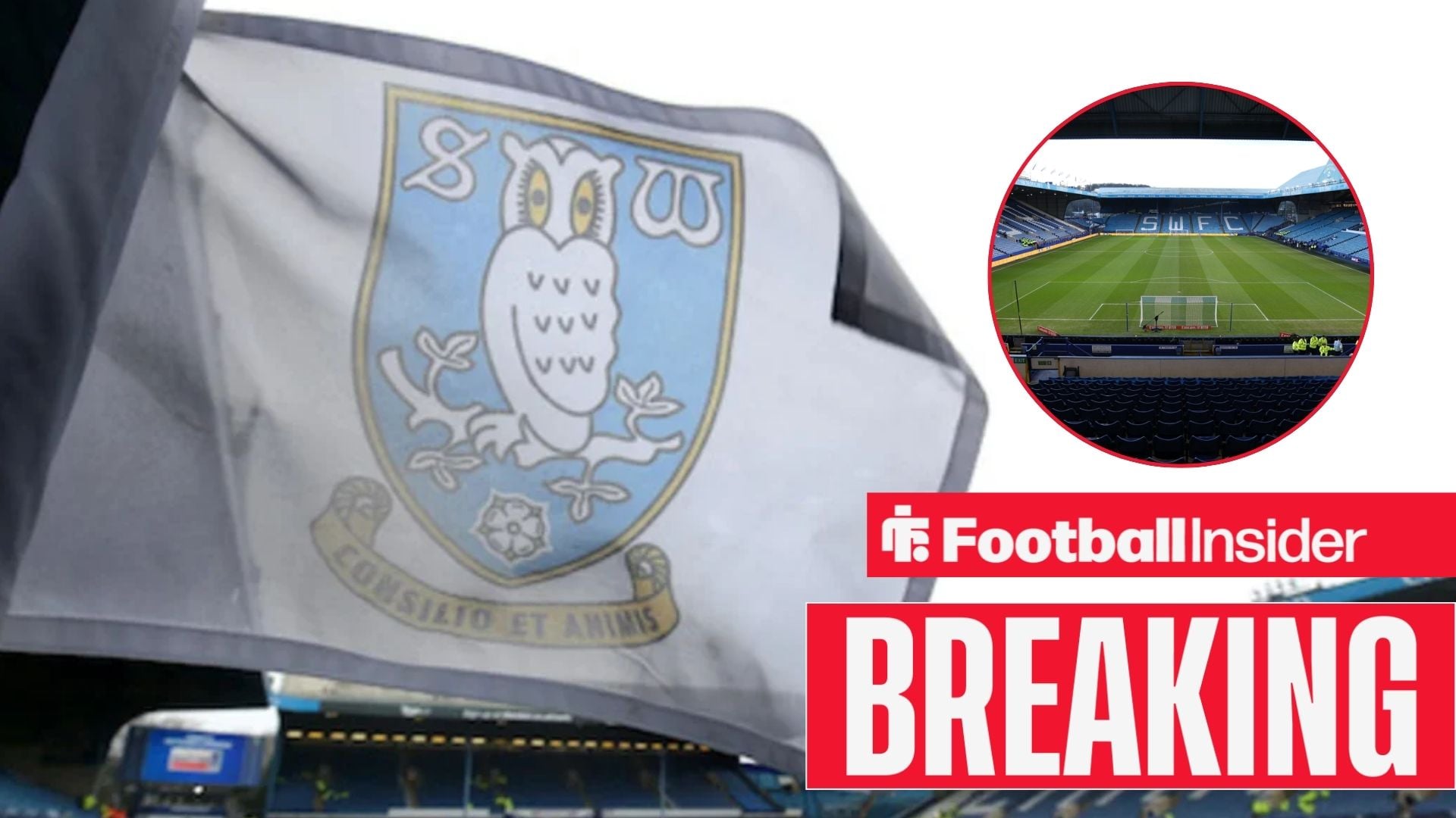 Svante Ingelsson now looks set to stay at Sheffield Wednesday after ...